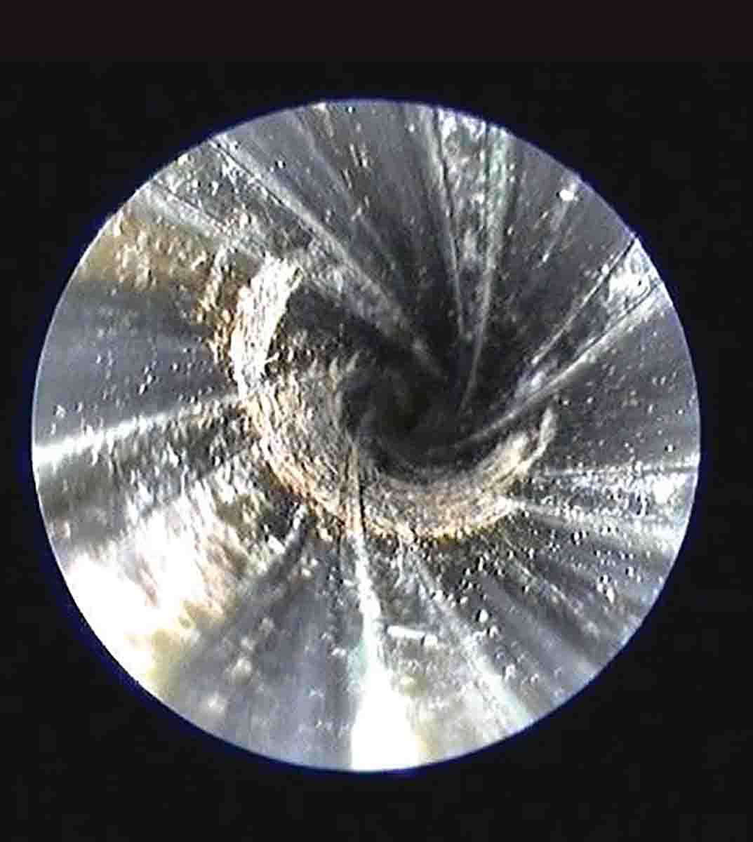 Walnut Hill | RifleMagazine