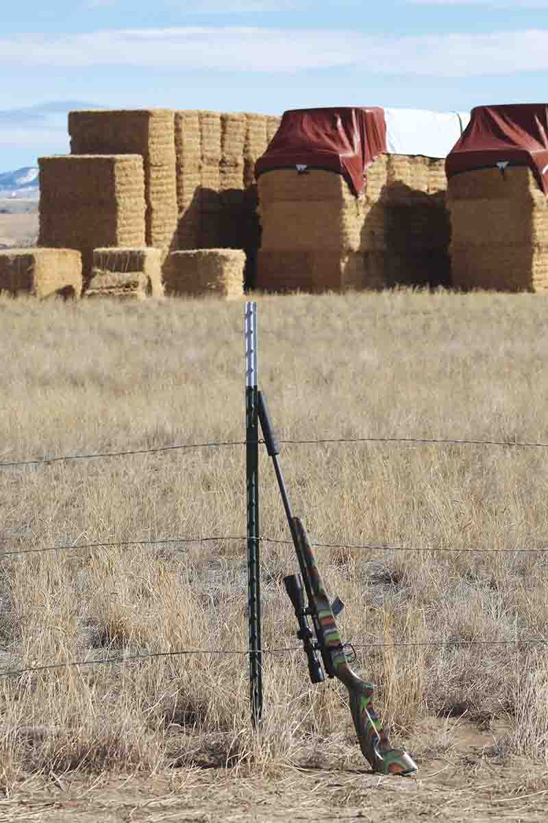 The Perfect Gopher Rifle | RifleMagazine