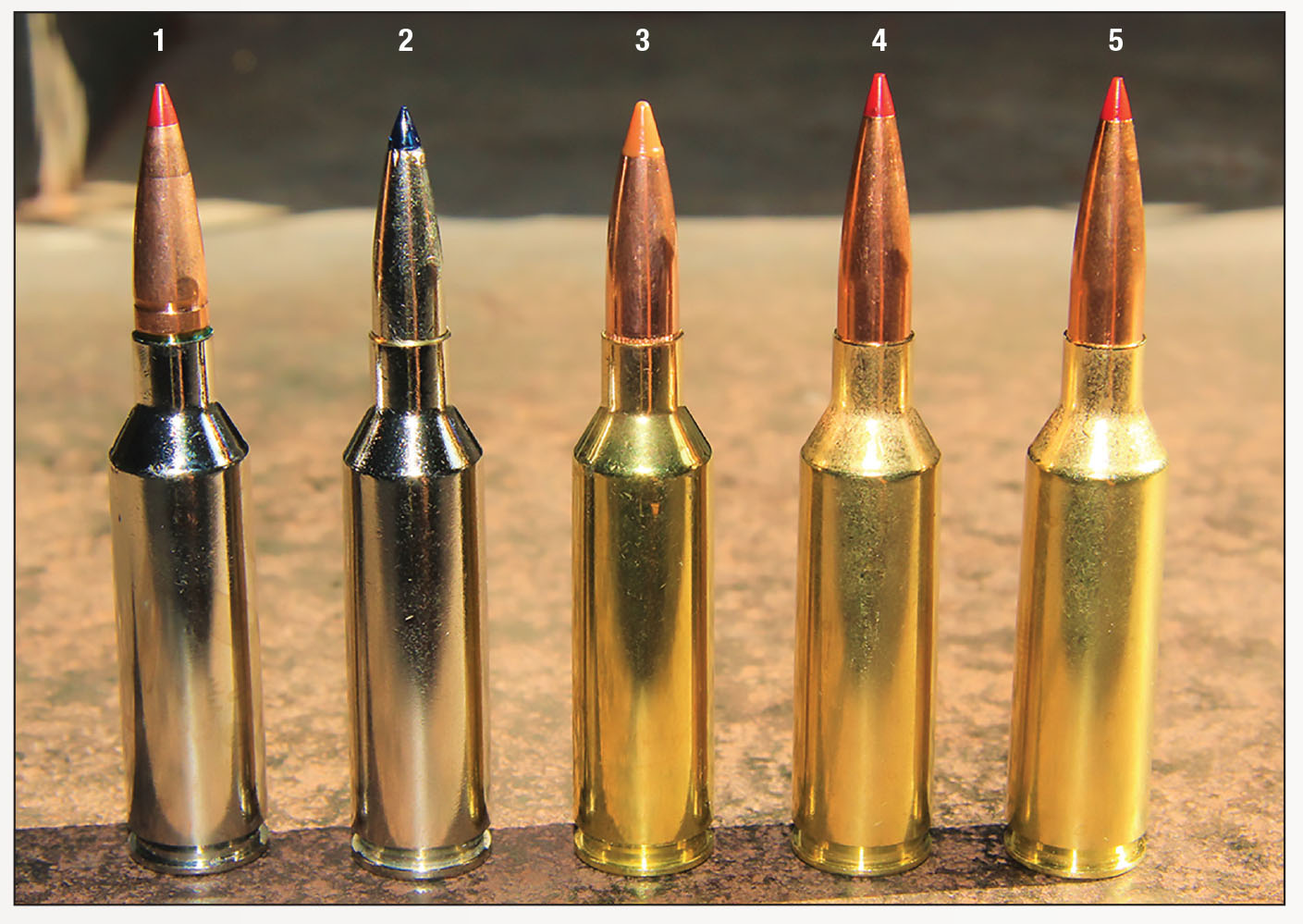 Best of the West ALTOPO in 6.5 PRC | RifleMagazine