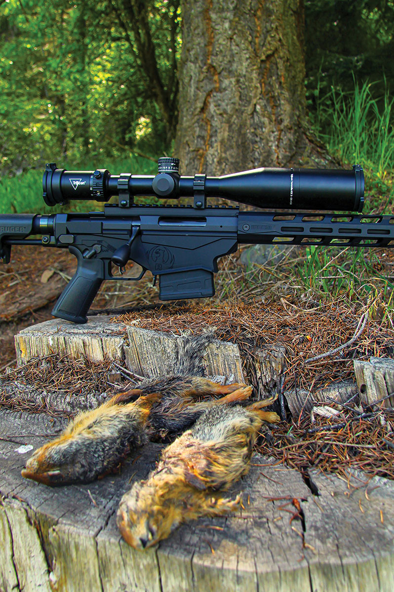 A Rifleman's Optics | RifleMagazine
