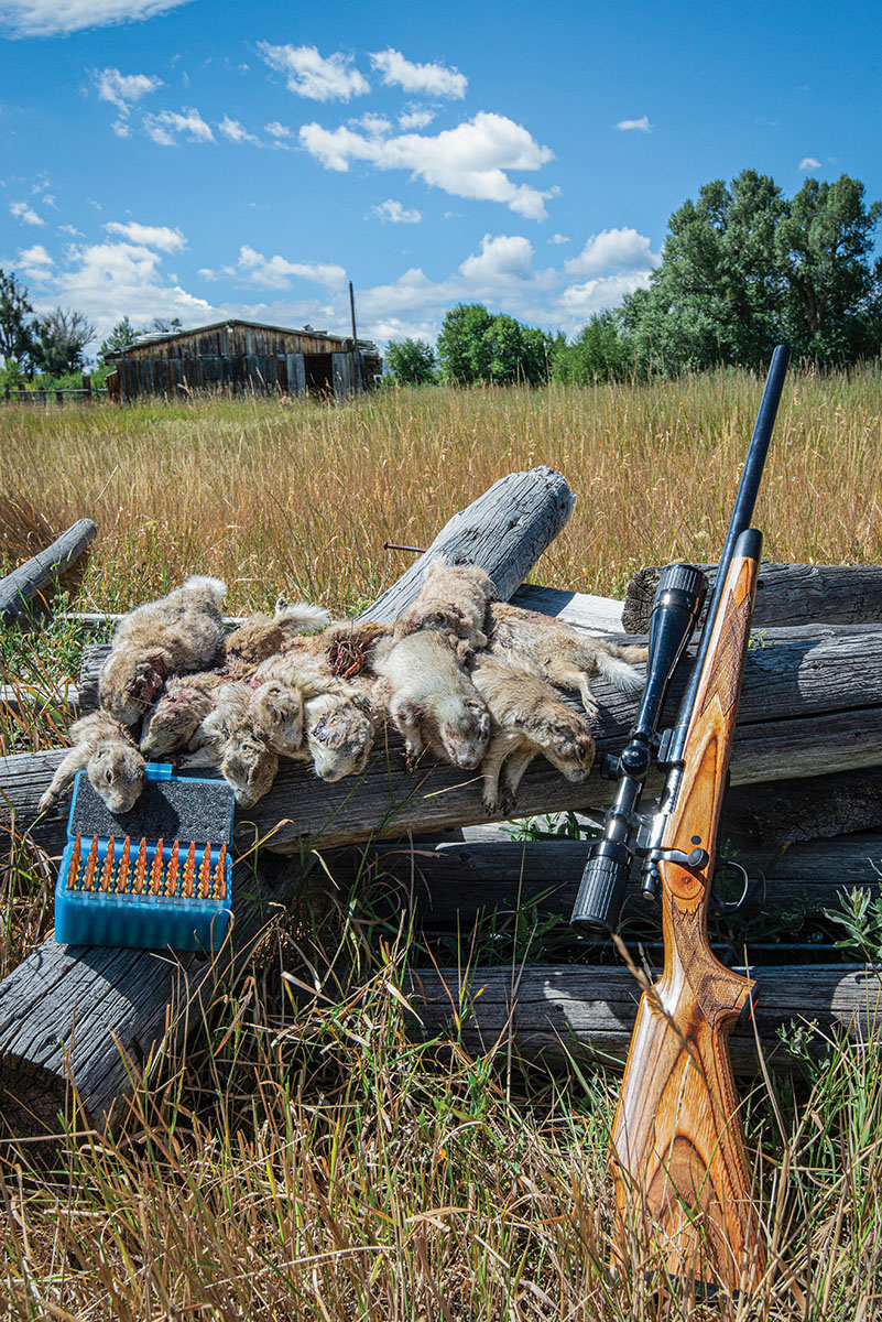 6mm Remington | RifleMagazine
