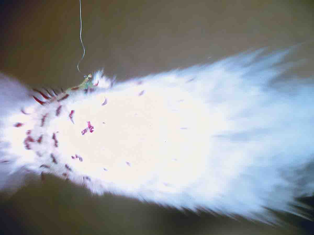 Varmint Grenade | RifleMagazine