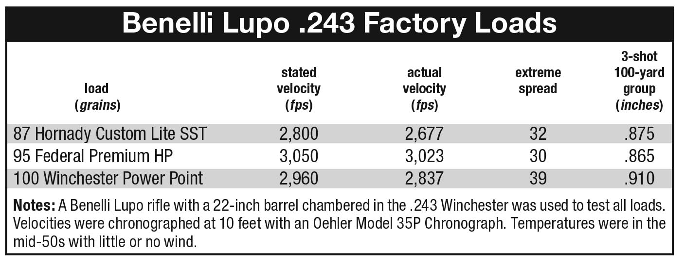 High Tech Benelli Rifle | RifleMagazine
