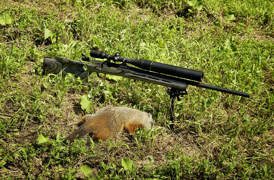 Using Various Sources to Build a Varmint Rifle | RifleMagazine
