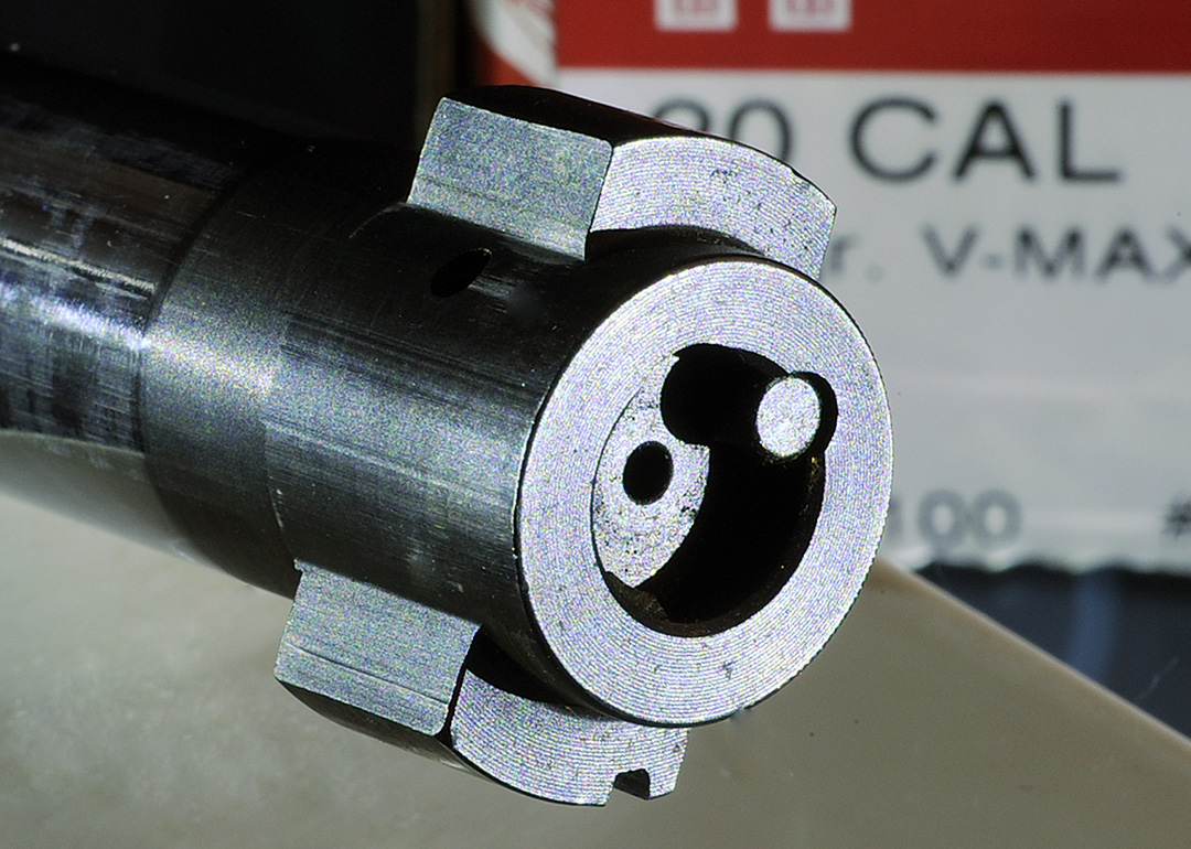 Using Various Sources to Build a Varmint Rifle | RifleMagazine